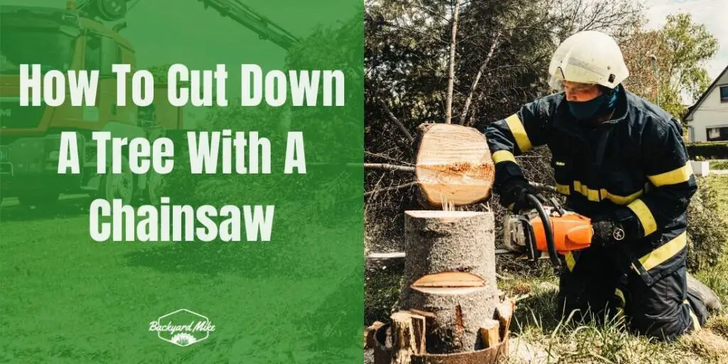 How To Cut Down A Tree With A Chainsaw | Backyard Mike