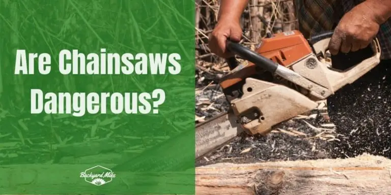 Are Chainsaws Dangerous? | Backyard Mike