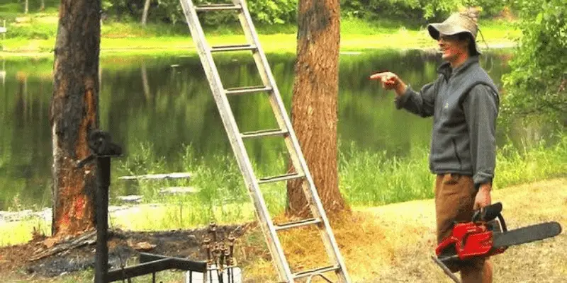 Can You Use A Chainsaw On A Ladder? | Backyard Mike