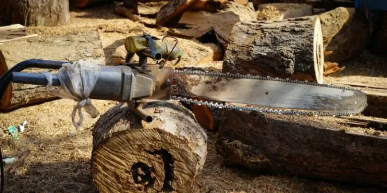 Chainsaw History: Which Was First Chainsaw? | Backyard Mike