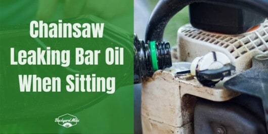 Chainsaw Leaking Bar Oil