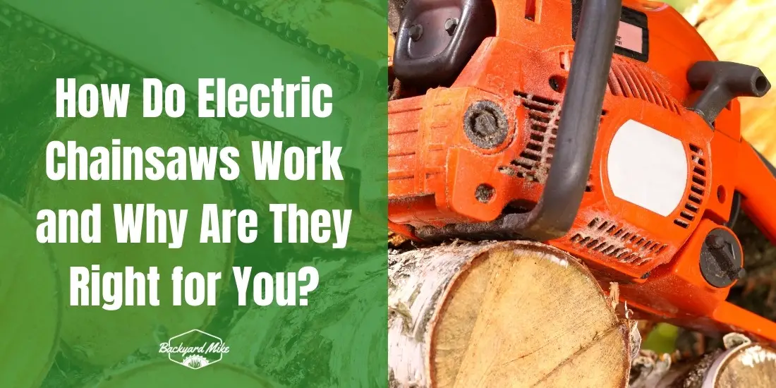 Do Electric Chainsaws Work | Backyard Mike