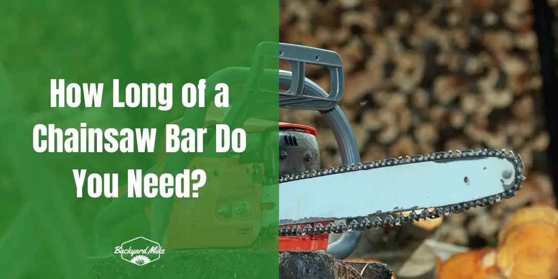 How Long Of A Chainsaw Do I Need | Backyard Mike