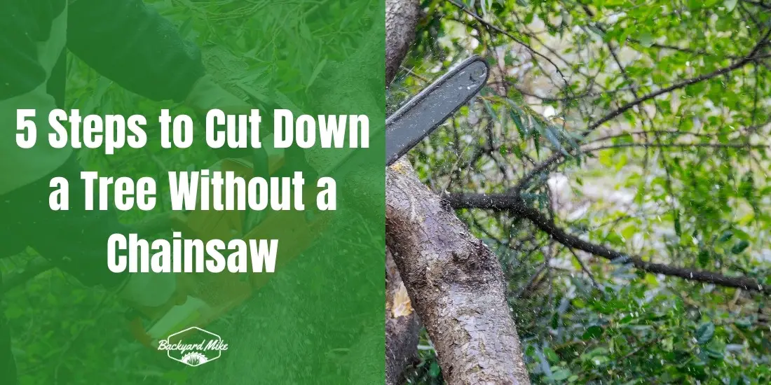 How To Cut Down A Tree Without A Chainsaw