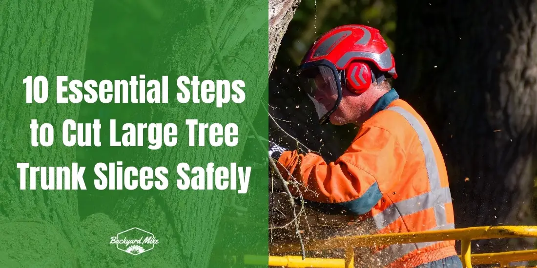 How To Cut Large Tree Trunk Slices | Backyard Mike