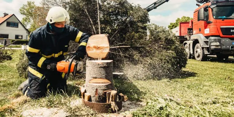 How To Cut Tree On Ground With A Chainsaw | Backyard Mike