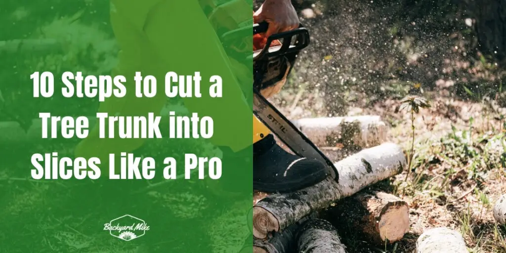 How To Cut Tree Trunk Into Slices | Backyard Mike