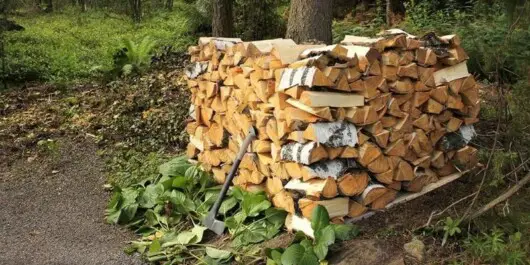 How To Dry Firewood Fast: Secret Hacks That You Should Know About
