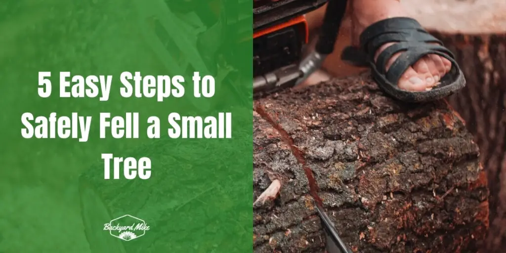How To Fell A Small Tree | Backyard Mike