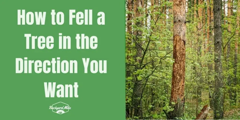 How To Fell A Tree In The Direction You Want | Backyard Mike