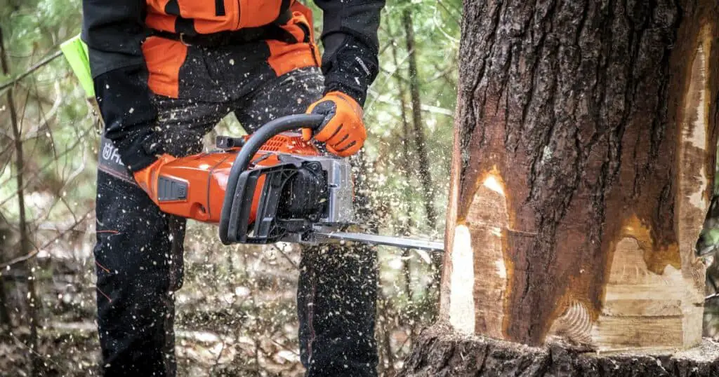 How To Fell A Tree In The Direction You Want | Backyard Mike