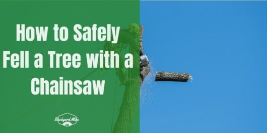 How To Fell A Tree With A Chainsaw | Backyard Mike