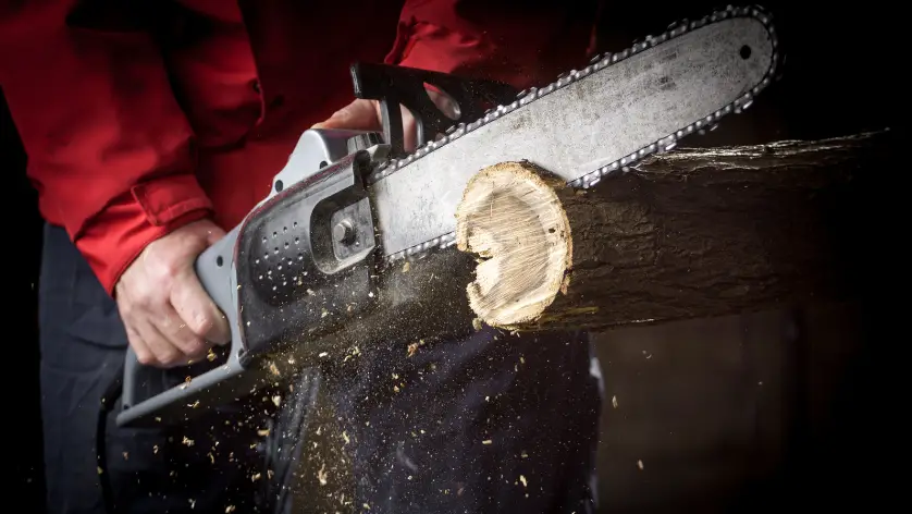 What Direction Does A Chain Go On A Chainsaw | Backyard Mike