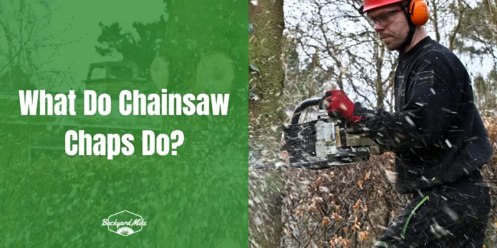 What Do Chainsaw Chaps Do | Backyard Mike