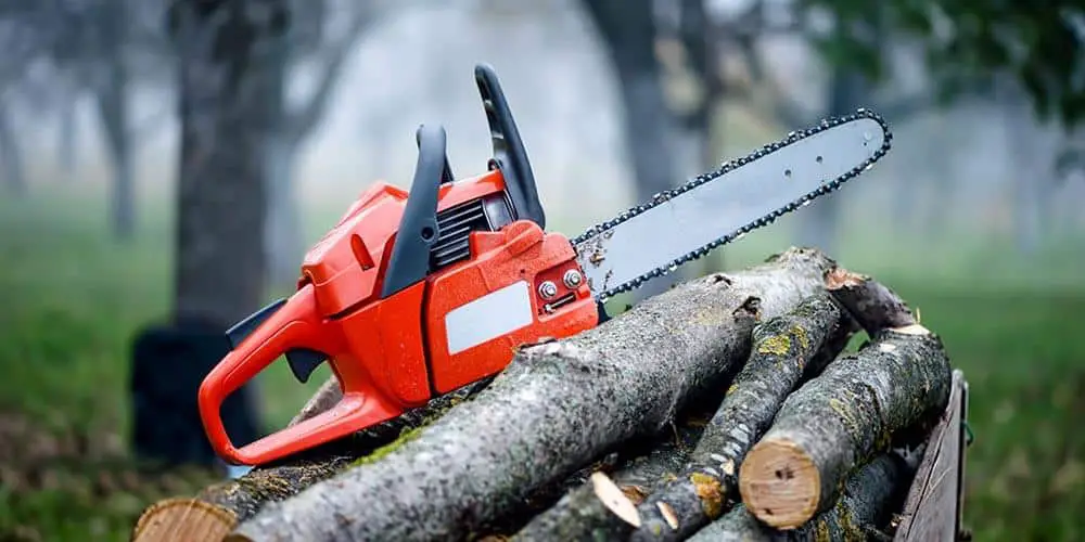 What Should I Look For When Buying A Chainsaw: Pick The Perfect ...