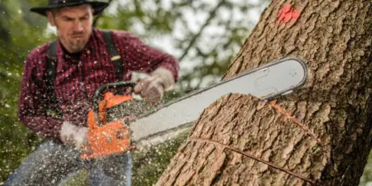 Which Way Does Chain Go On Chainsaw | Backyard Mike